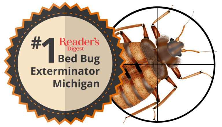 Michigan's Bed Bug Experts | Pronto Pest Management